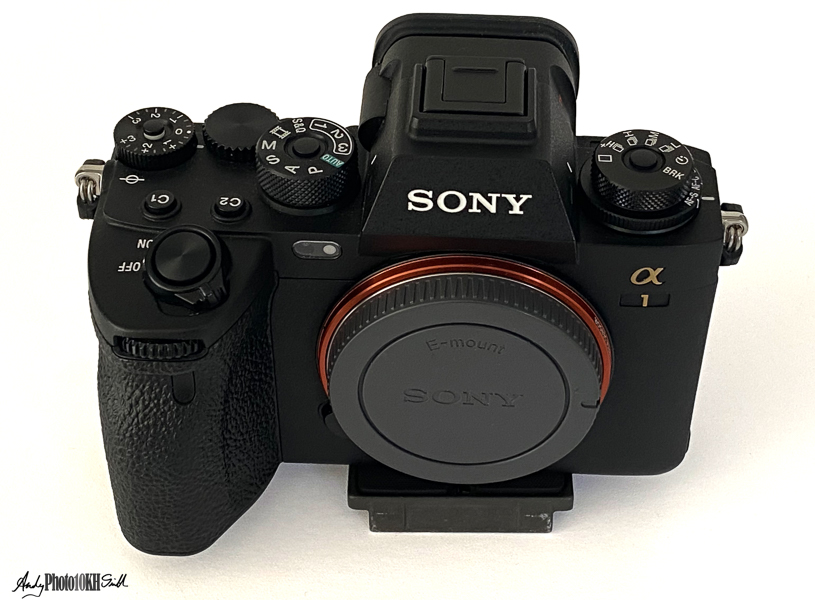 Setting Up the Sony a1 - Ten Thousand Hours Photography